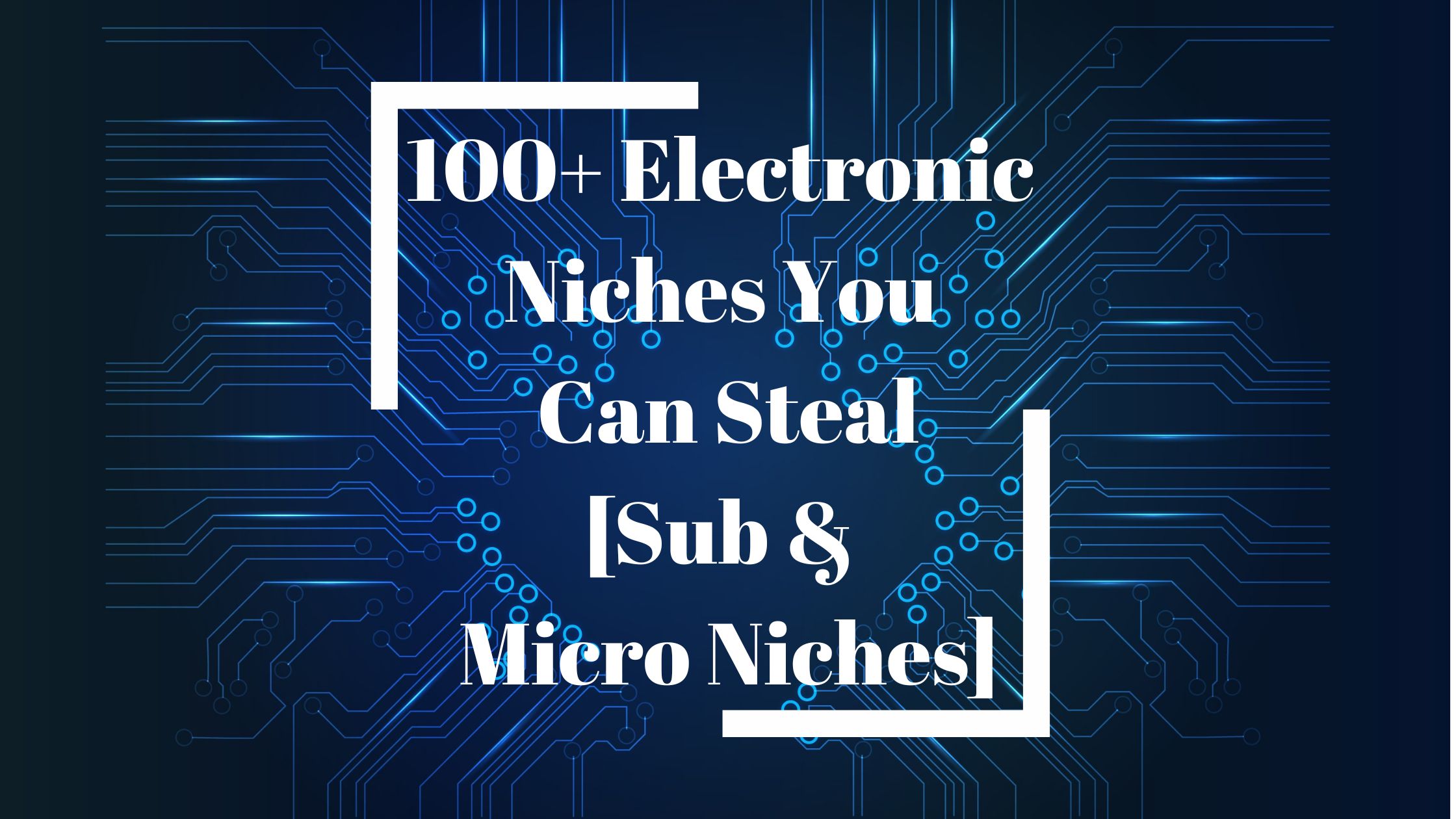 100+ Electronics Niches You Can Steal [Sub & Micro Niches]